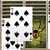 Play Spider Solitaire FLASH Game without Flash Player - FlashStorage.Games