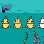Play Which Fish? FLASH Game without Flash Player - FlashStorage.games